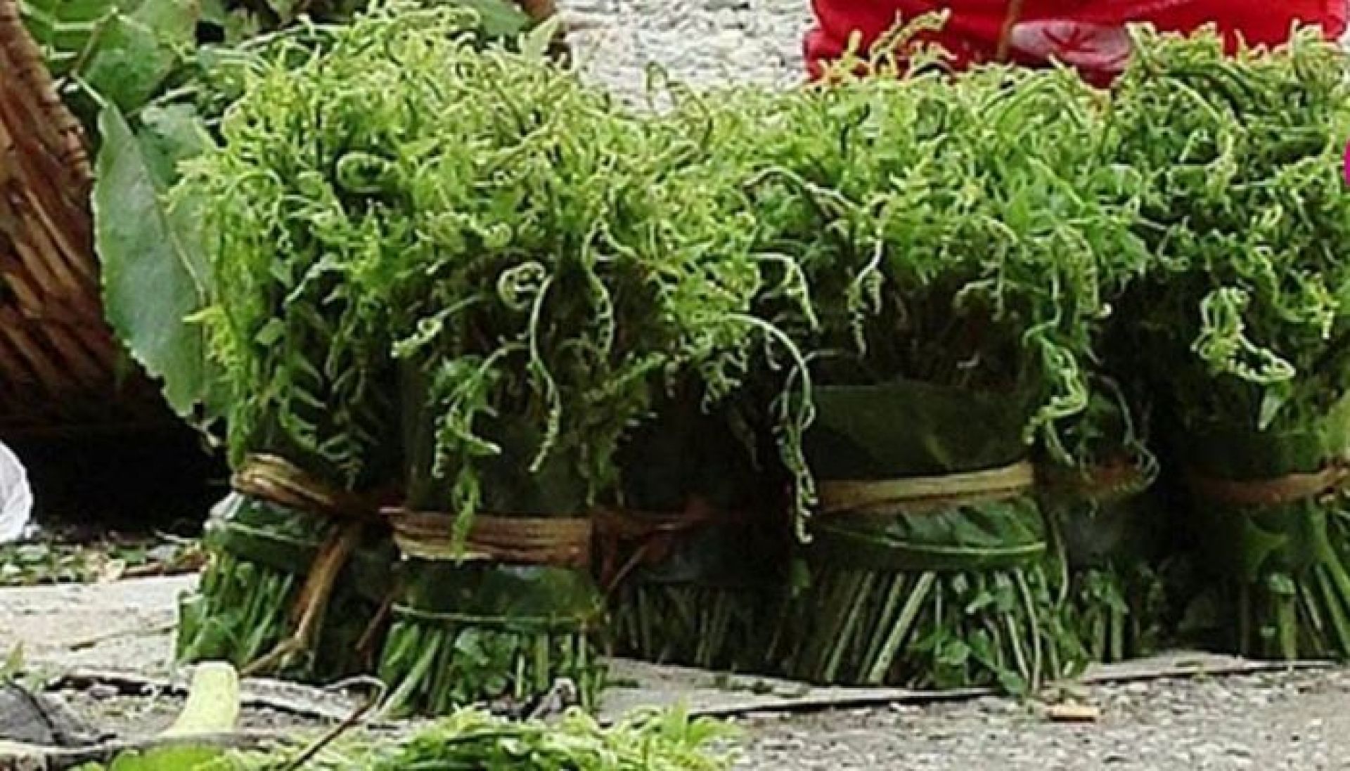 गुल्मीको निहुरो बुटवलदेखि काठमाडौँसम्म | Bittiya Post